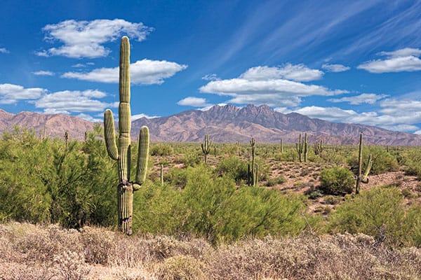 Worldmark Bison Ranch | Timeshares Only