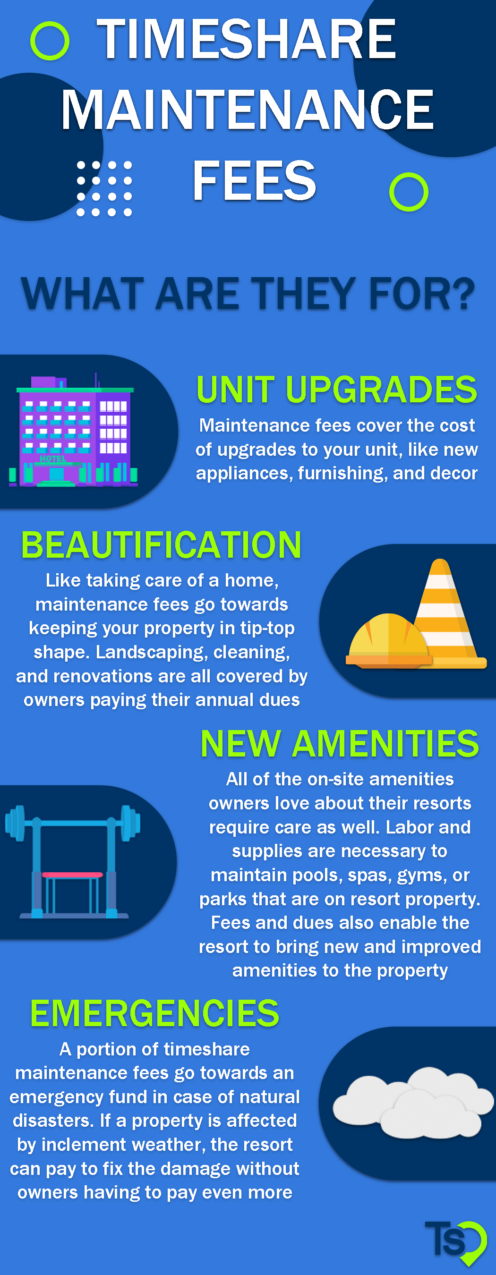Timeshare Maintenance Fees 101 | What Happens If You Don't Pay?