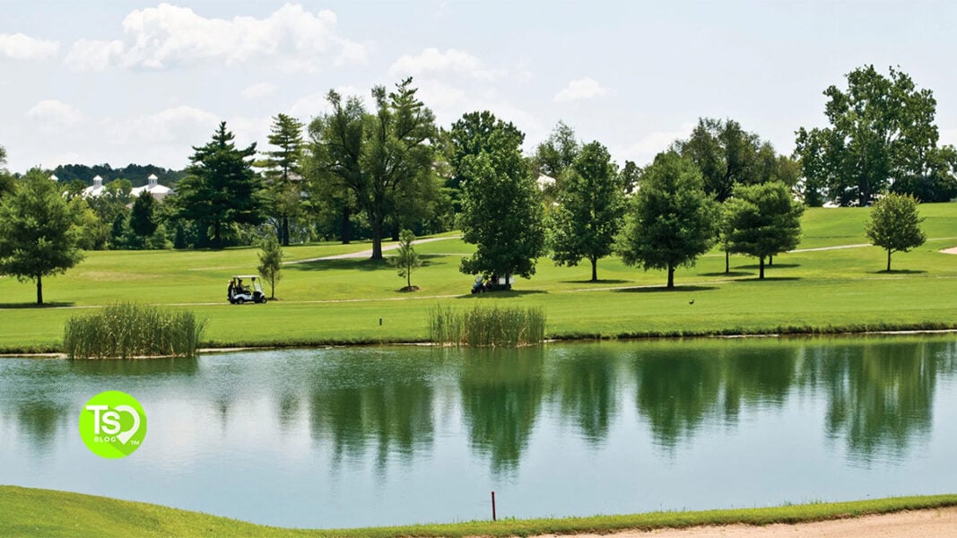 Silverleaf Resorts: Top Silverleaf Timeshare Destinations | Timeshares Only