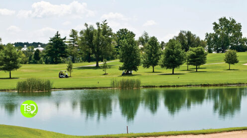 Silverleaf Resorts: Top Silverleaf Timeshare Destinations | Timeshares Only