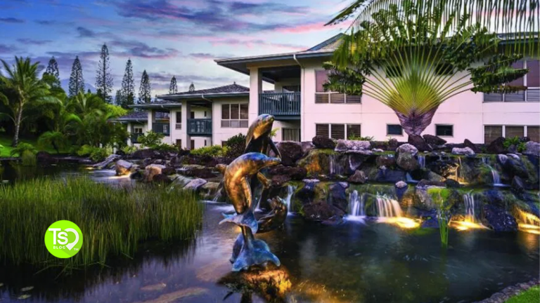 WorldMark by Wyndham: Your Full Guide | Timeshares Only