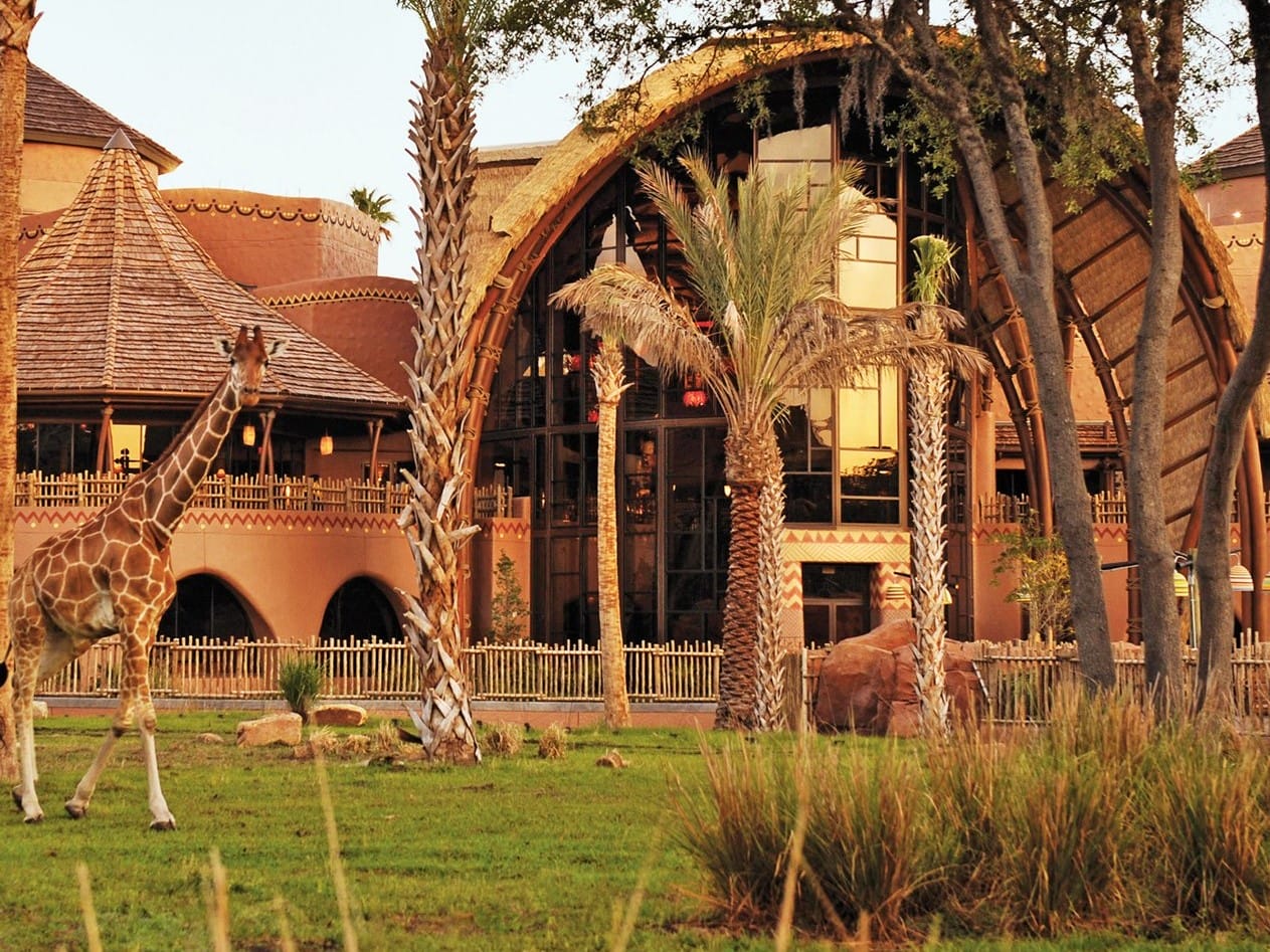 Best Disney Resort for Kids: 4 DVC Resorts for Lifelong Memories ...