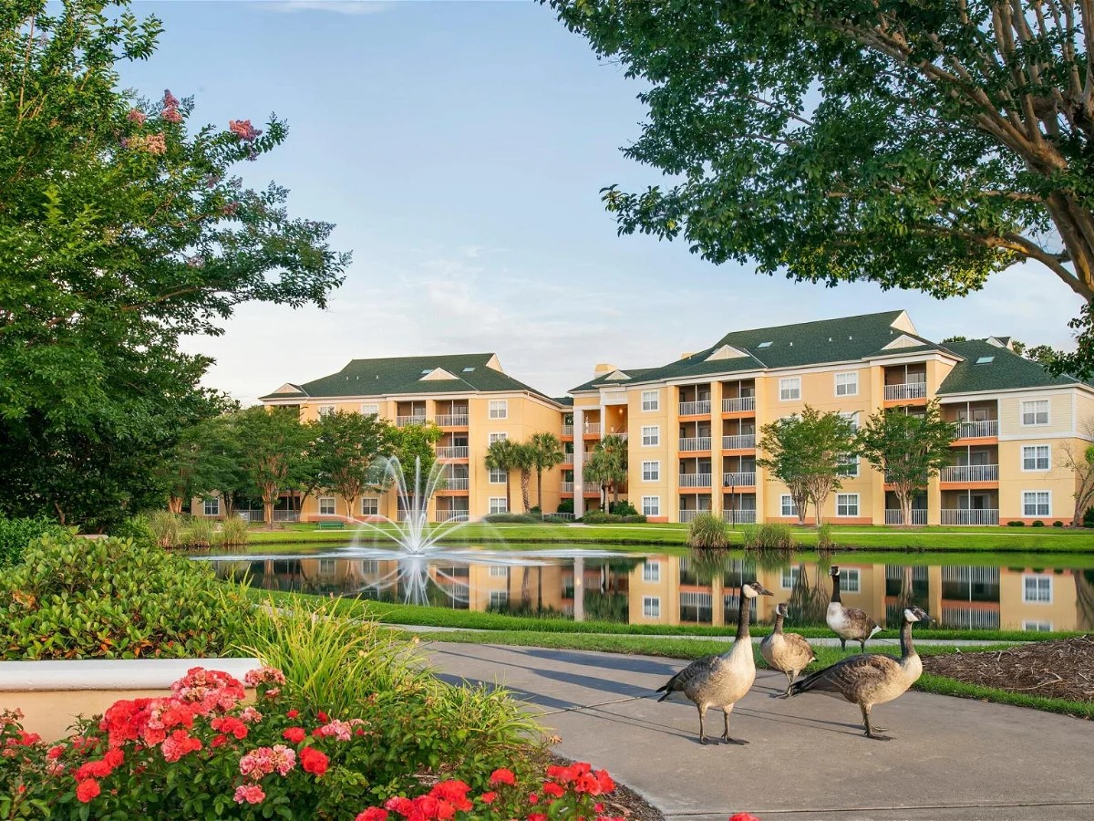 Marriott Vacation Clubs: 3 Premier Vacation Club Brands | Timeshares Only